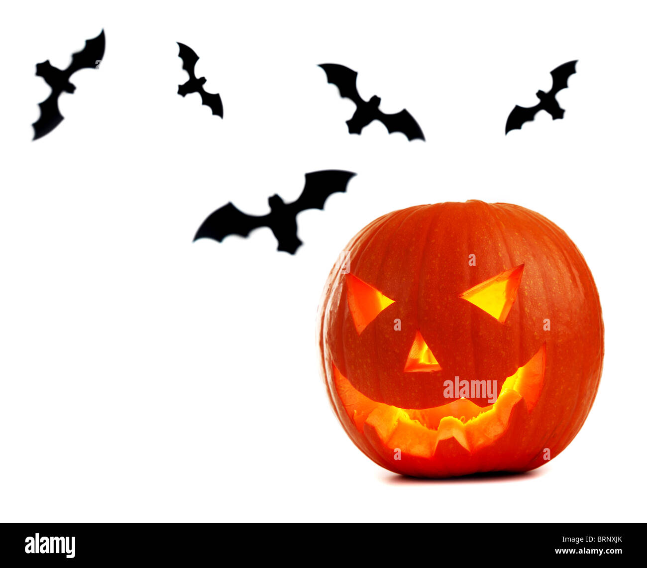 Bat halloween hi-res stock photography and images - Alamy