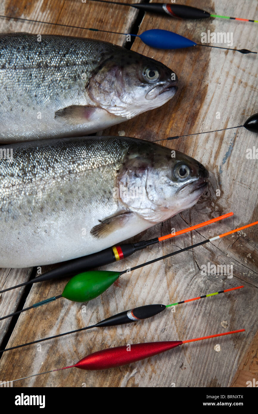 Fish and fishing Stock Photo - Alamy