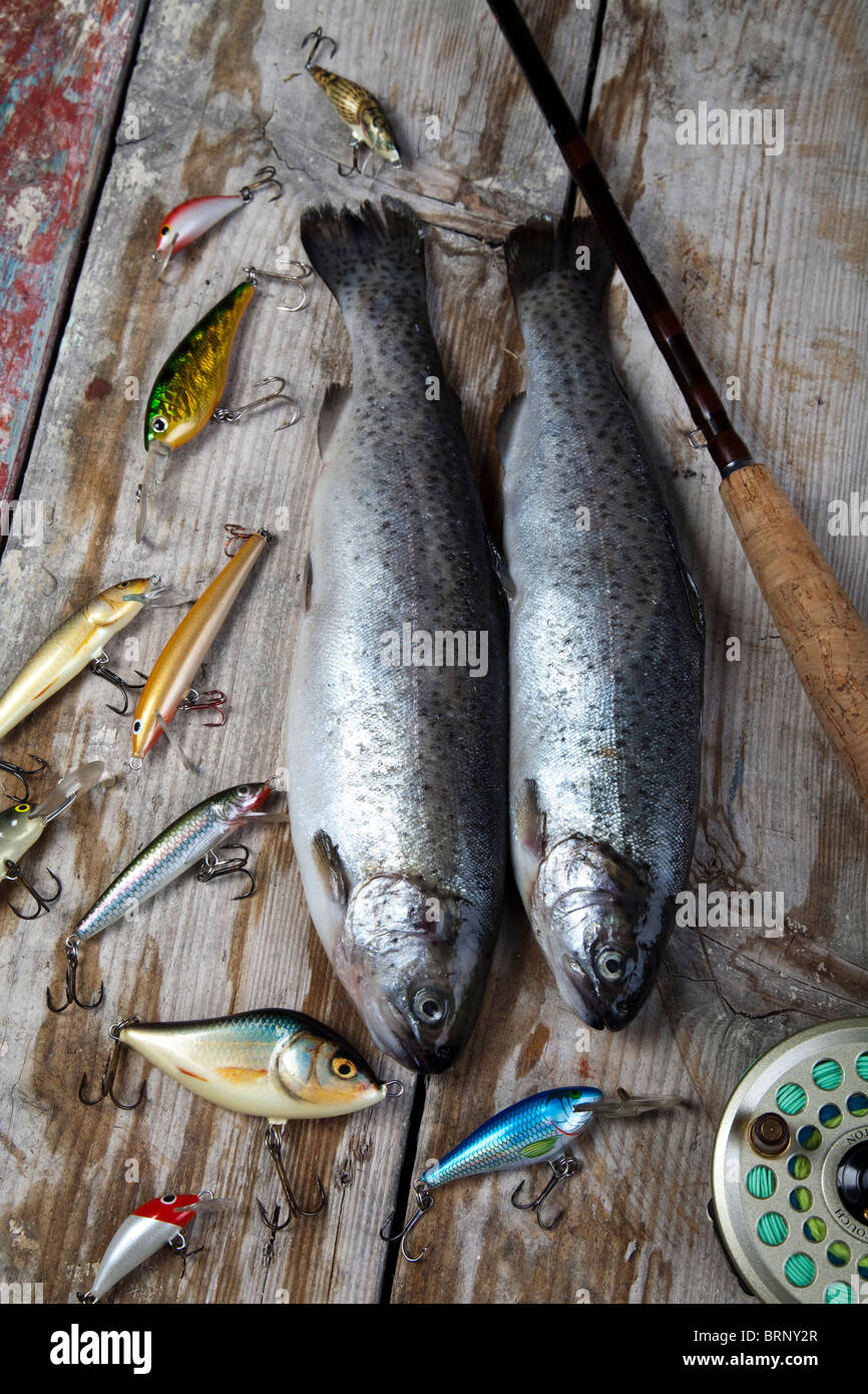 Luring fish hi-res stock photography and images - Alamy