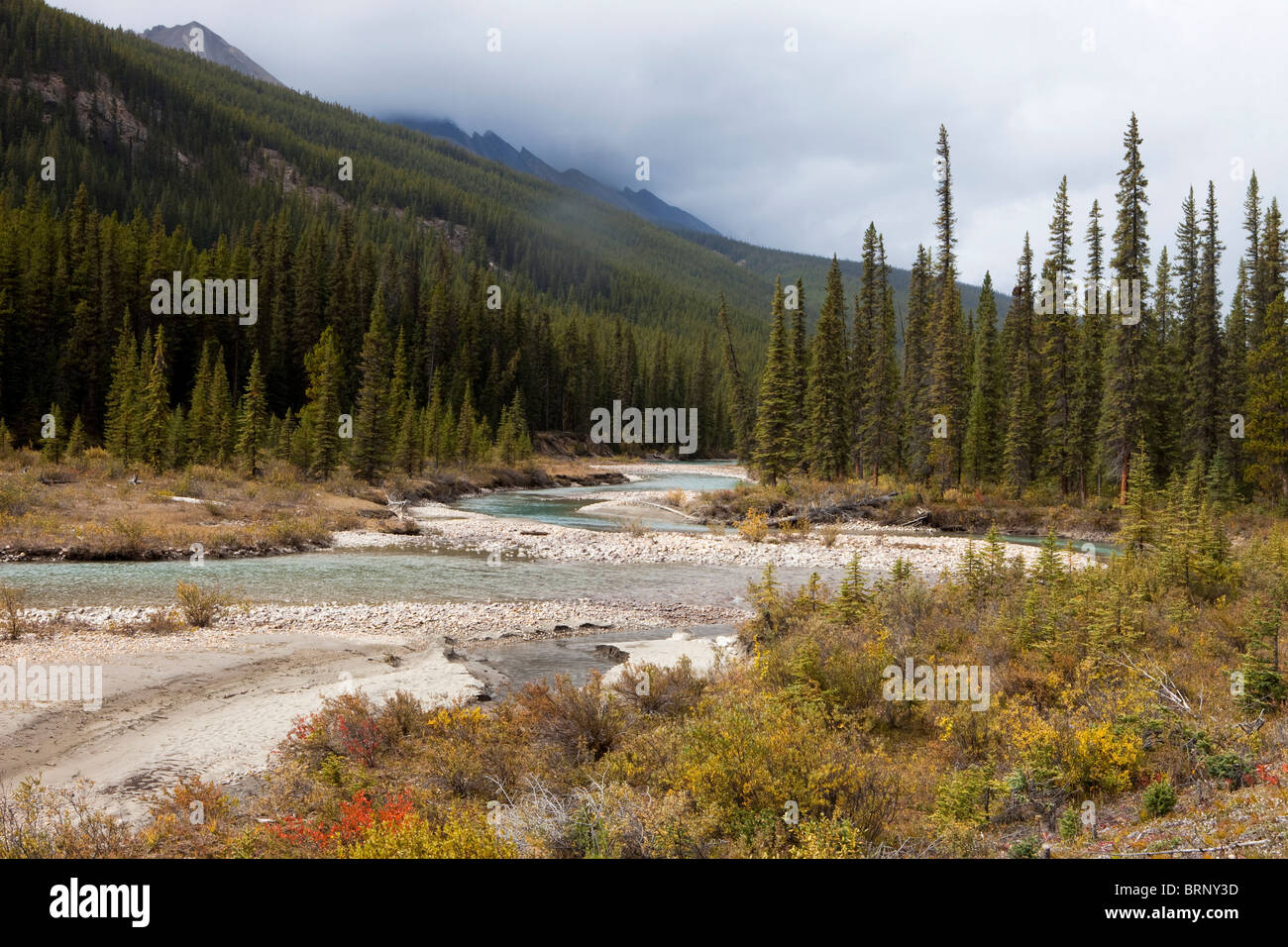 Sunwapta River, Jasper National Park, Alta., Canada Stock Photo - Alamy