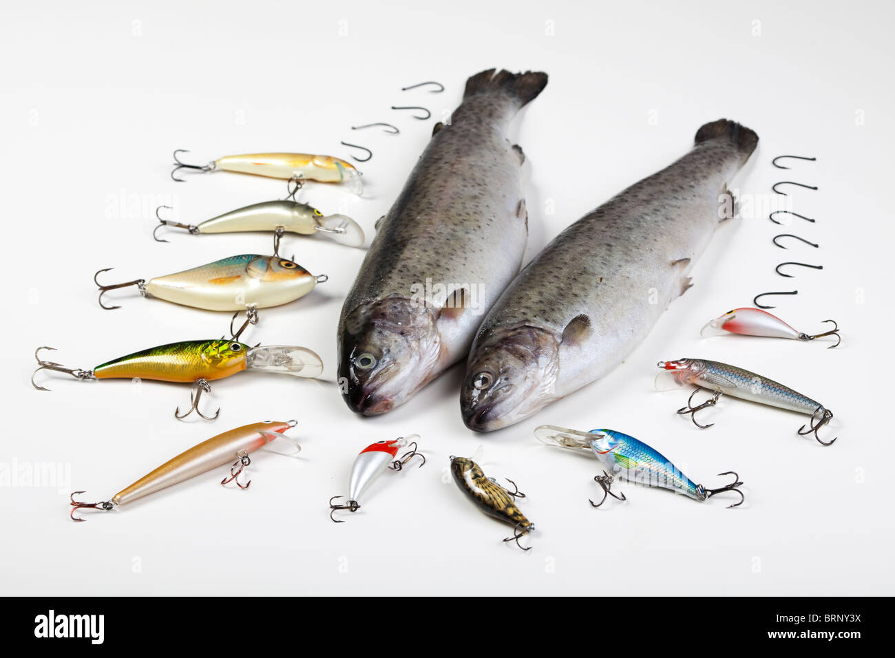 Fish and fishing Stock Photo - Alamy