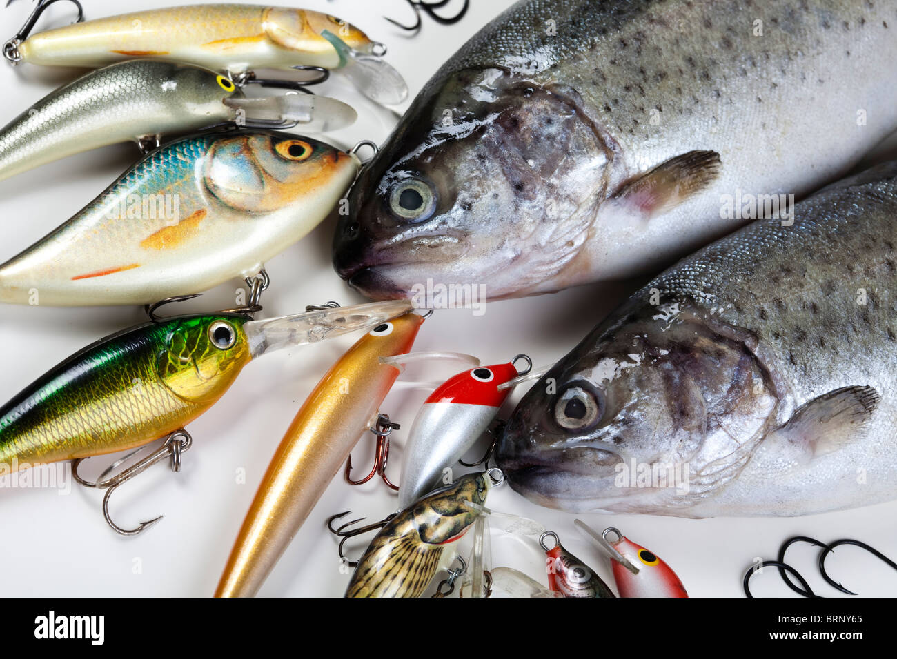 Fish and fishing Stock Photo - Alamy