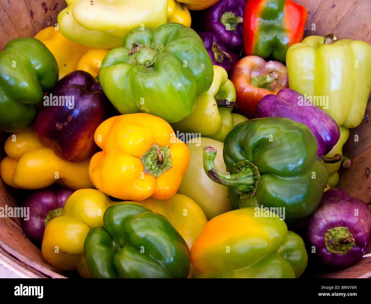 colorful bell peppers in a farm stand basket Stock Photo - Alamy