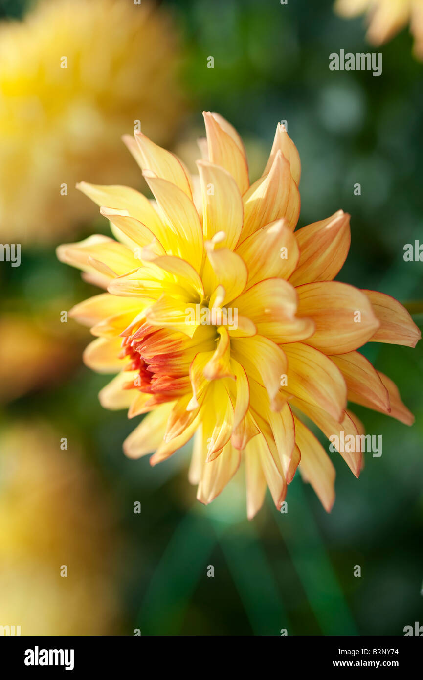 Lelle hi-res stock photography and images - Alamy