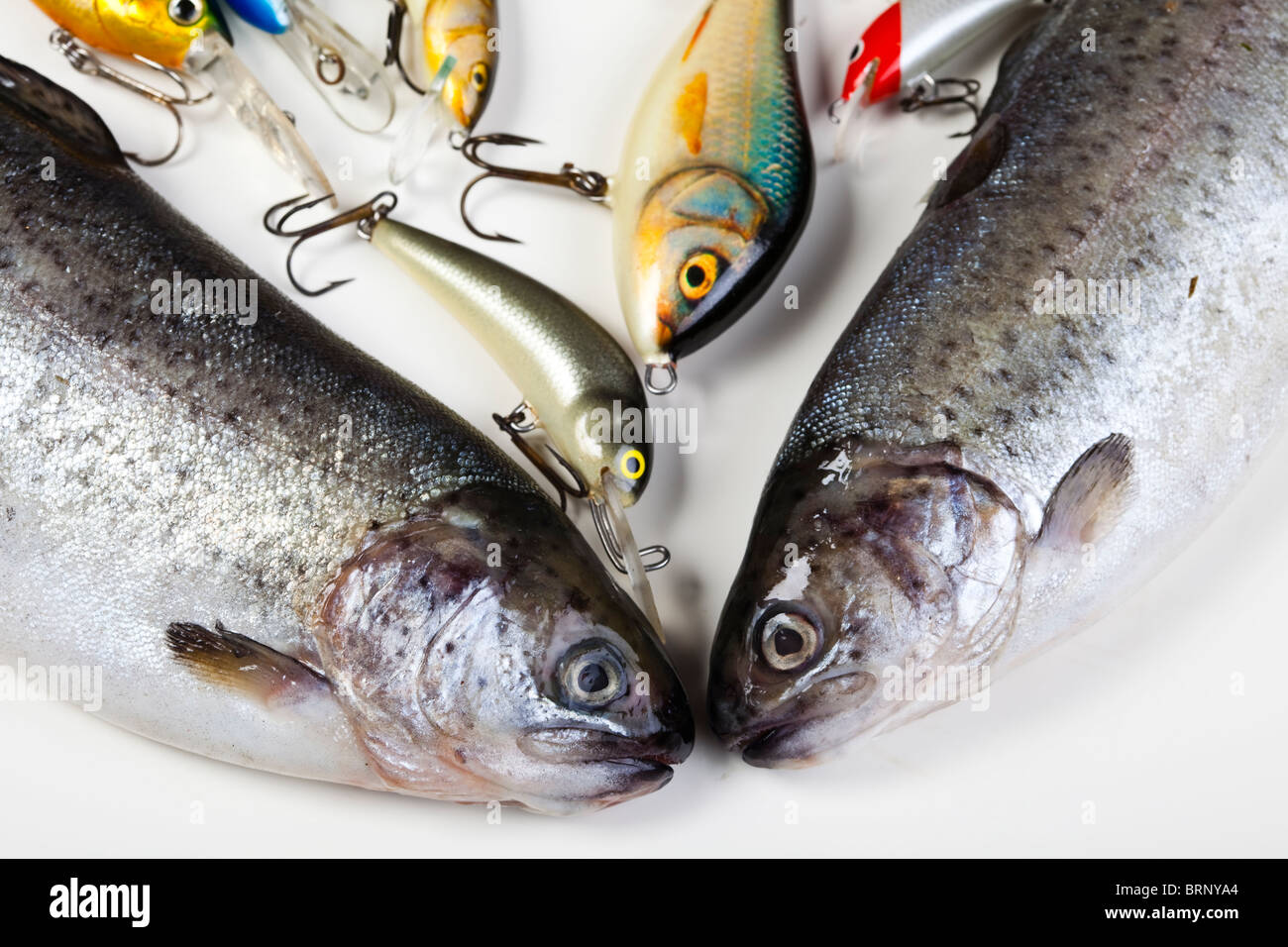 Fish and fishing Stock Photo - Alamy