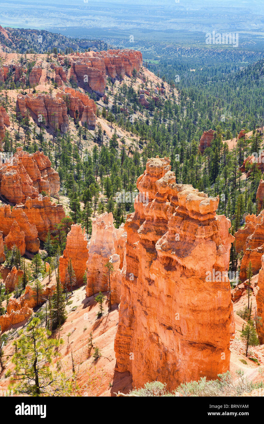Colorful landscape bryce canyon hi-res stock photography and images - Alamy
