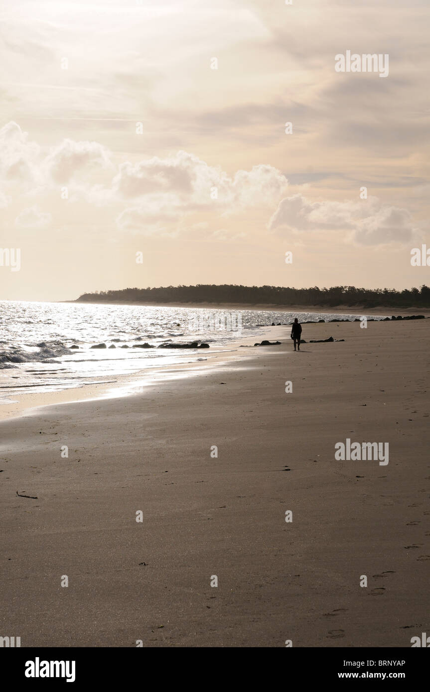 Stock photo of a single person walking along the beach at sunset Stock ...