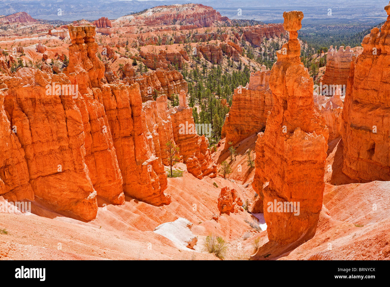 Colorful landscape bryce canyon hi-res stock photography and images - Alamy