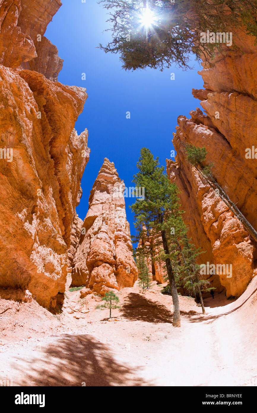 Red rock sun hi-res stock photography and images - Alamy