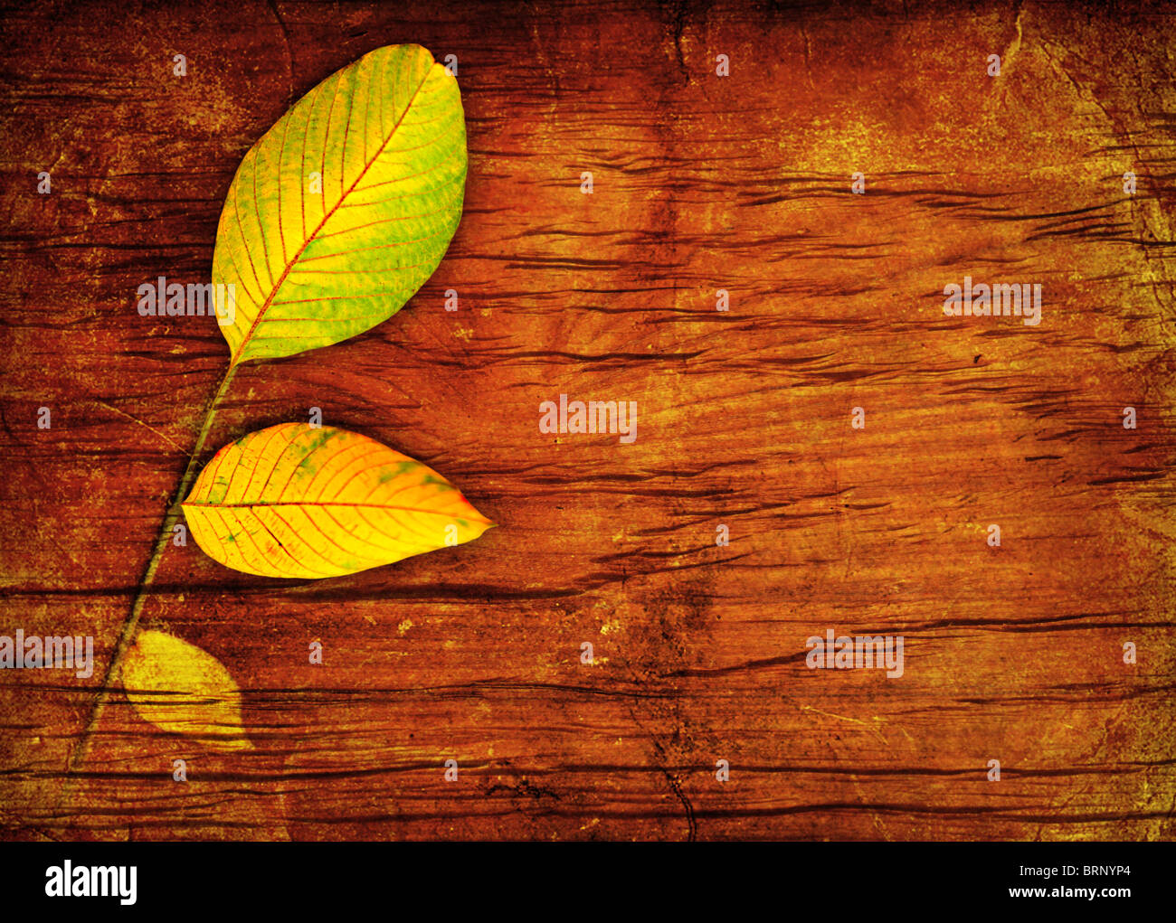 Autumn leaves over wood background Stock Photo - Alamy