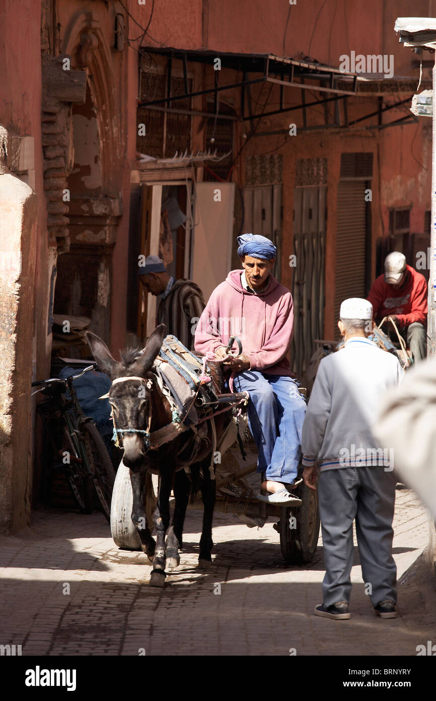 Donkey carrying cart in hi-res stock photography and images - Alamy