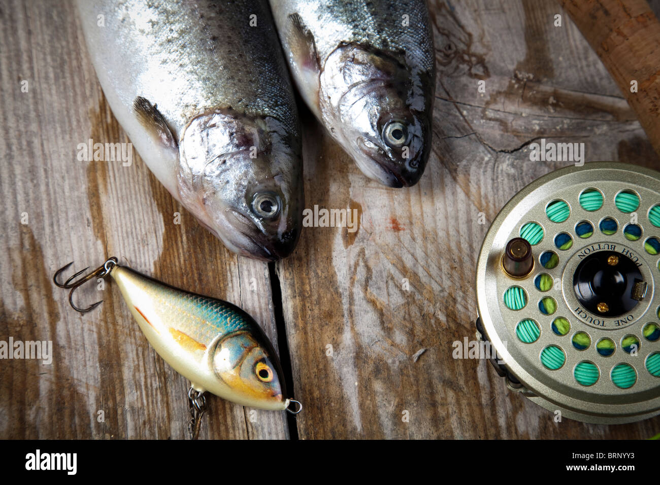 Fish and fishing Stock Photo - Alamy