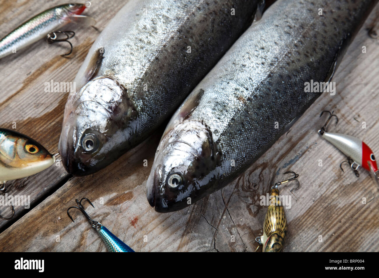 Luring fish hi-res stock photography and images - Alamy