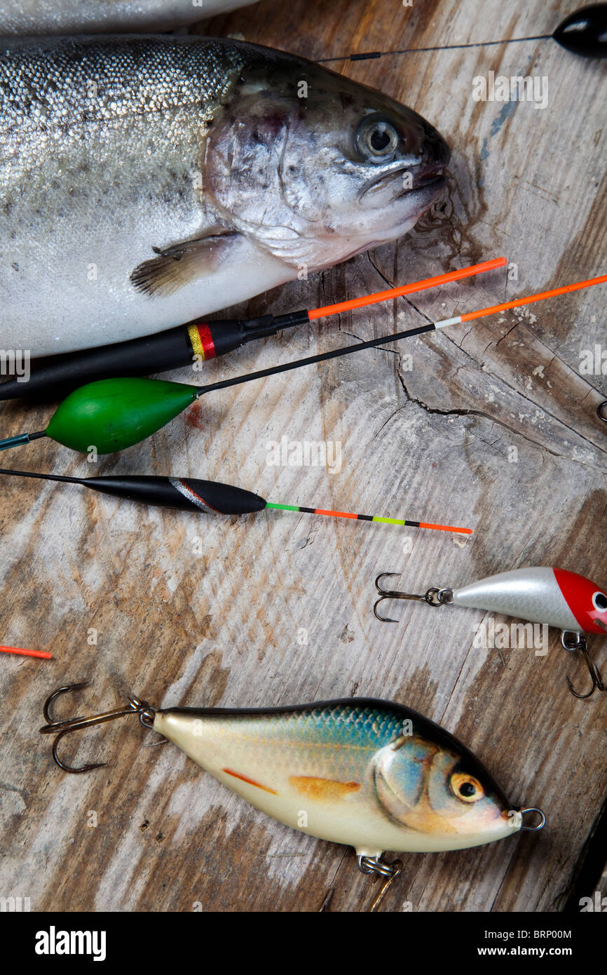 Fish and fishing Stock Photo - Alamy