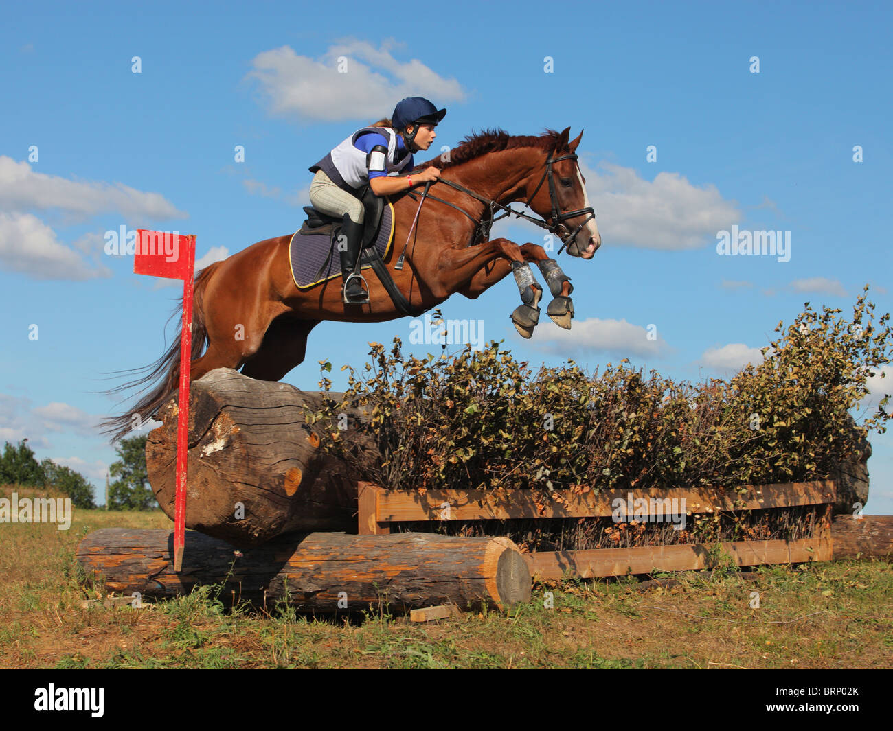 This horse and rider are navigating a log jump obstacle on a 3-day ...