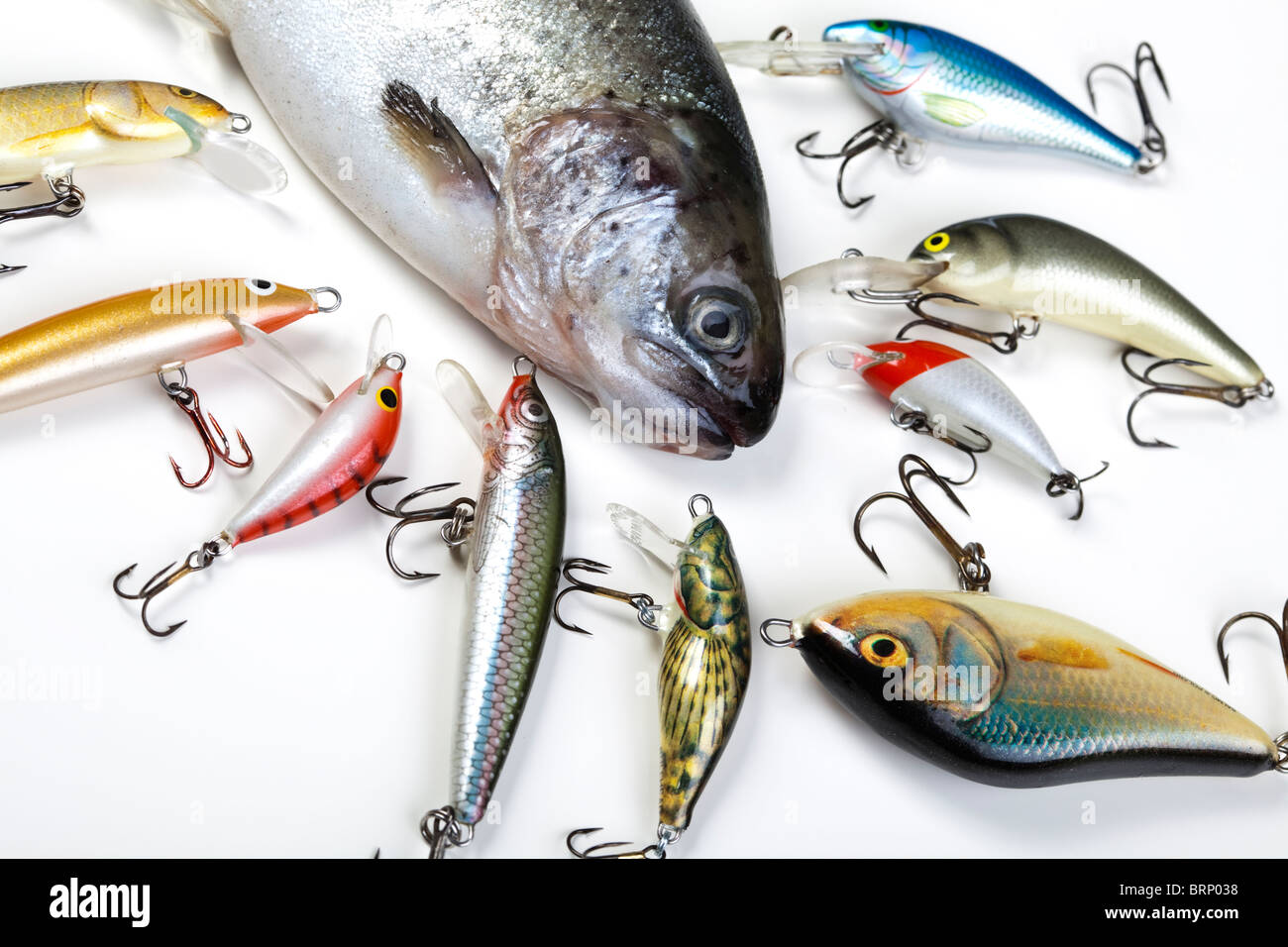 Collection of fly fishing Stock Photo - Alamy