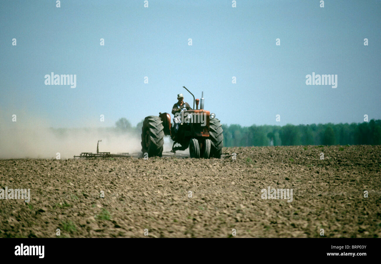 Spring - Farmer on old red tractor harrows (breaks up) the soil to ...