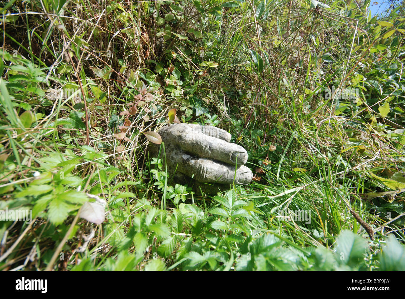 Do you need a Hand ! Stock Photo - Alamy