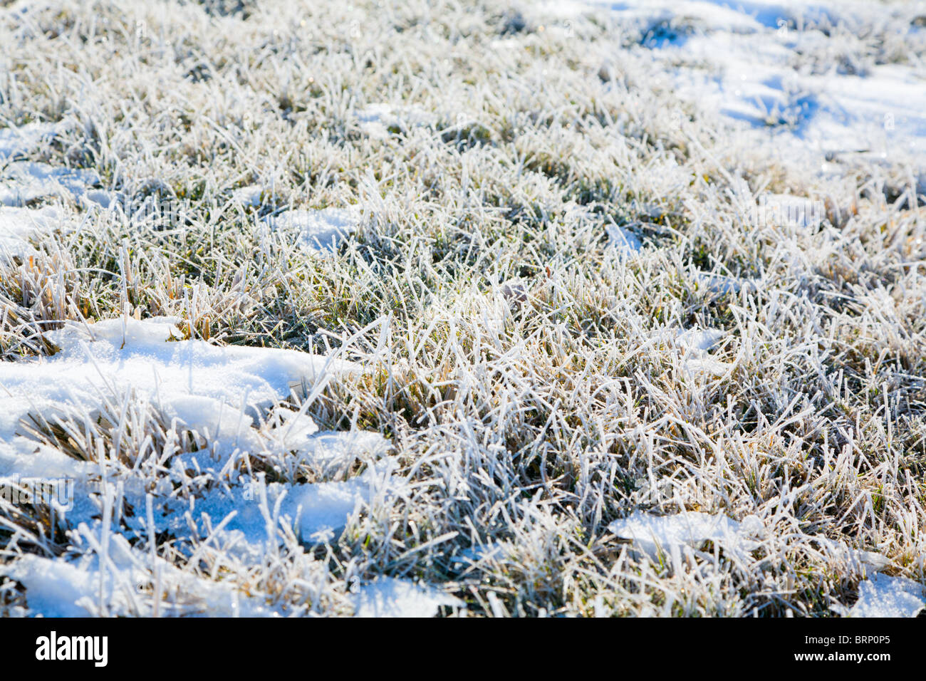 Frozen into ground hi-res stock photography and images - Alamy
