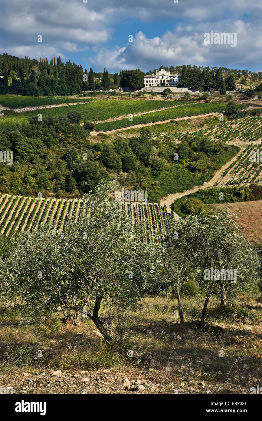 The Tuscan rural landscape, Tuscany, Italy Stock Photo - Alamy