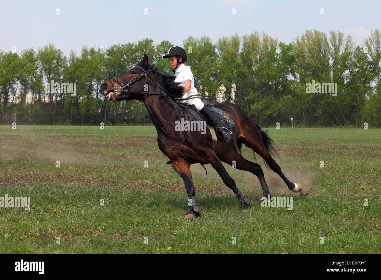 Sprint to the finish hi-res stock photography and images - Alamy