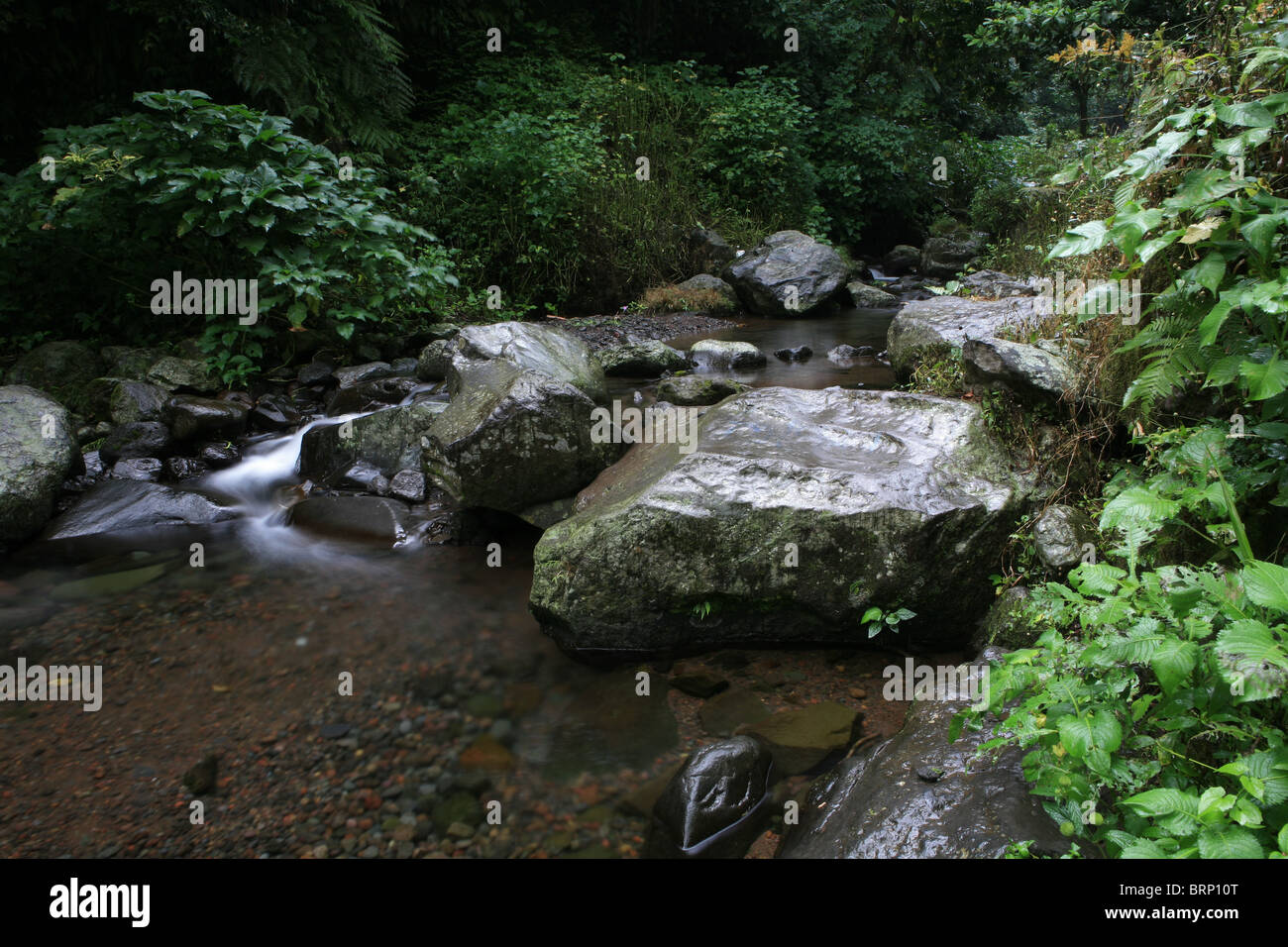 River land scape hi-res stock photography and images - Alamy