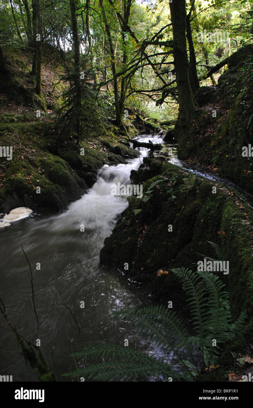 Ffynone Waterfall High Resolution Stock Photography and Images - Alamy