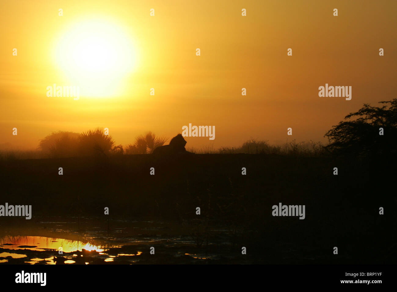 Big ridge south hi-res stock photography and images - Alamy