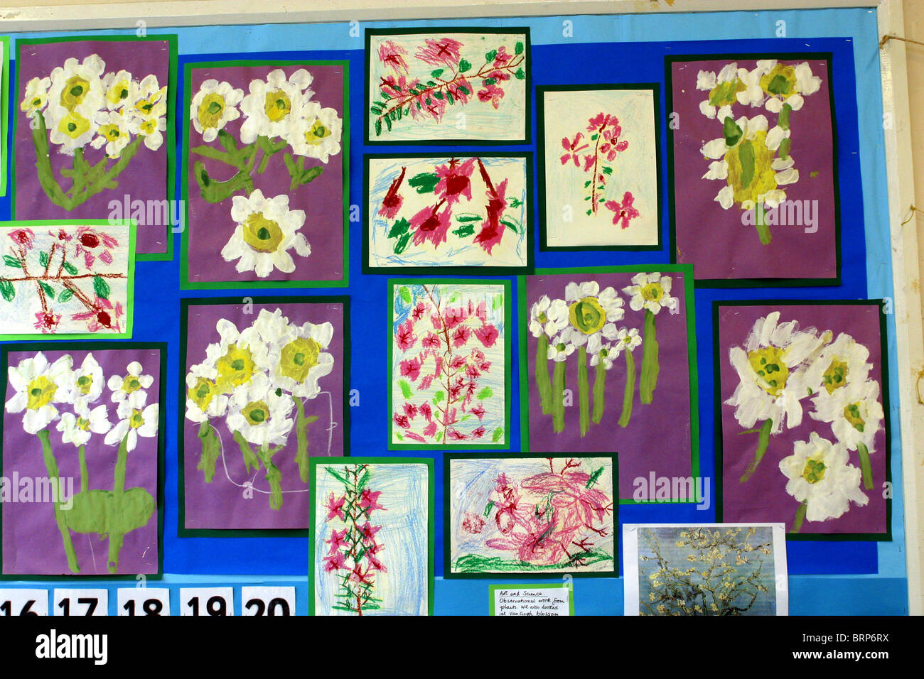 Visual display of flowers hi-res stock photography and images - Alamy