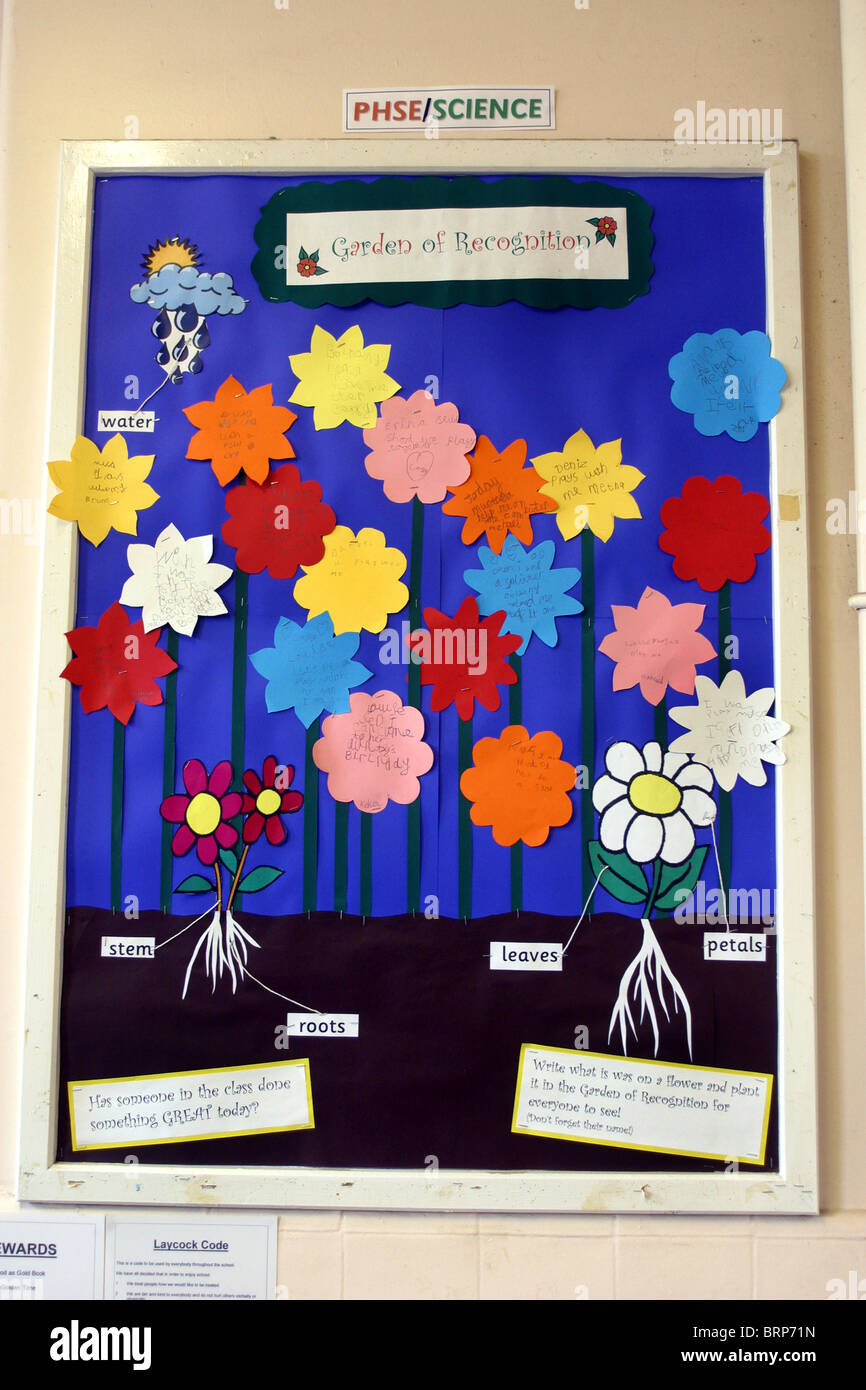 Primary display board displaying plants and how they grow Stock Photo ...