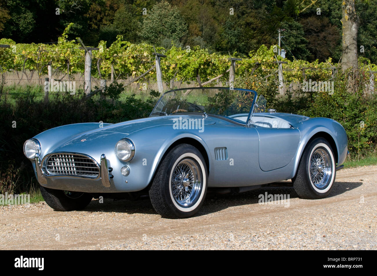 1964 AC Cobra Mk II 289 Stock Photo - Alamy