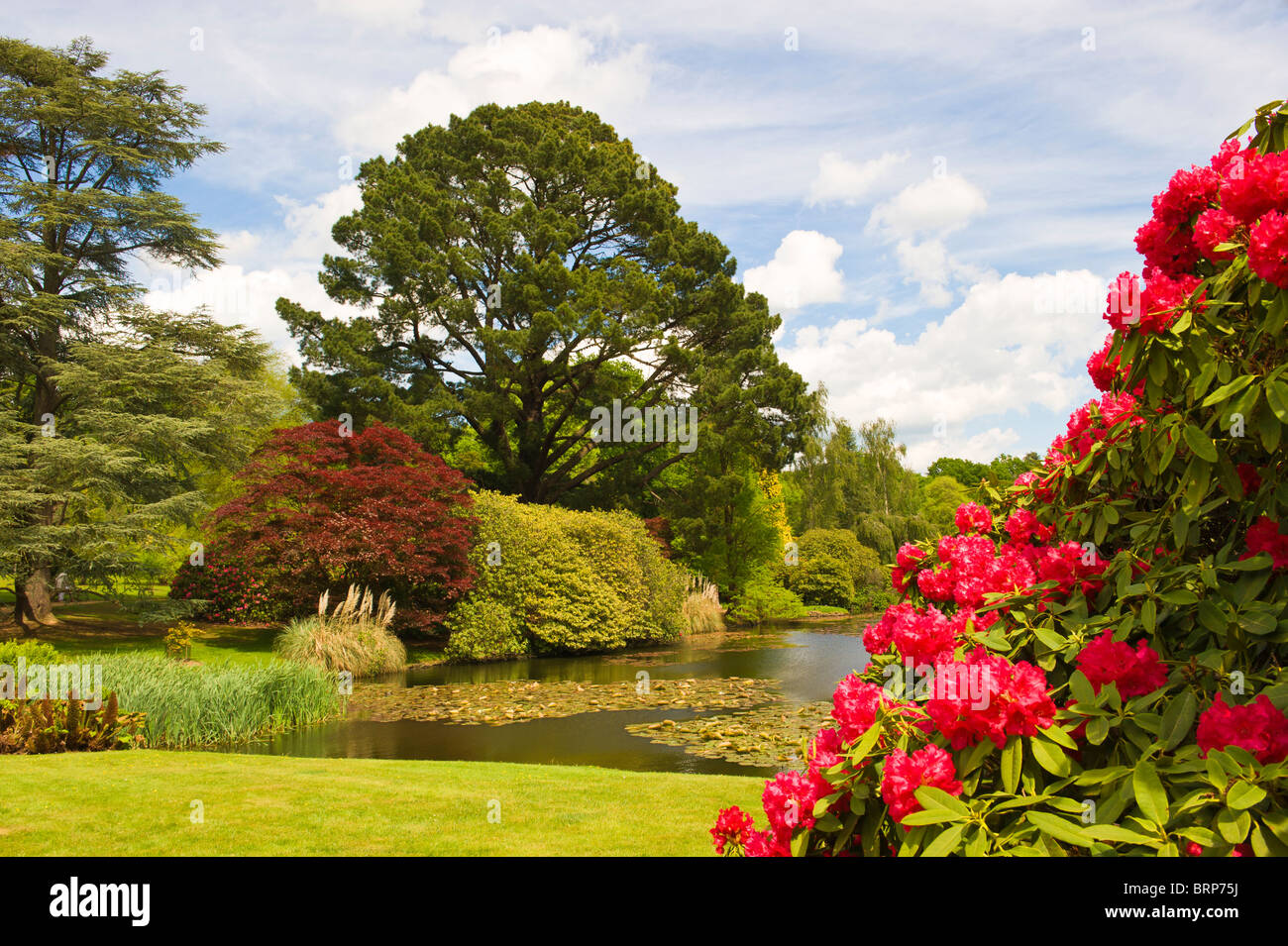 The beautiful gardens of Sheffield Park in East Sussex, Southern ...