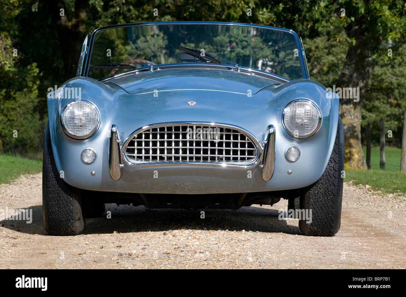 Ac cobra hi-res stock photography and images - Alamy
