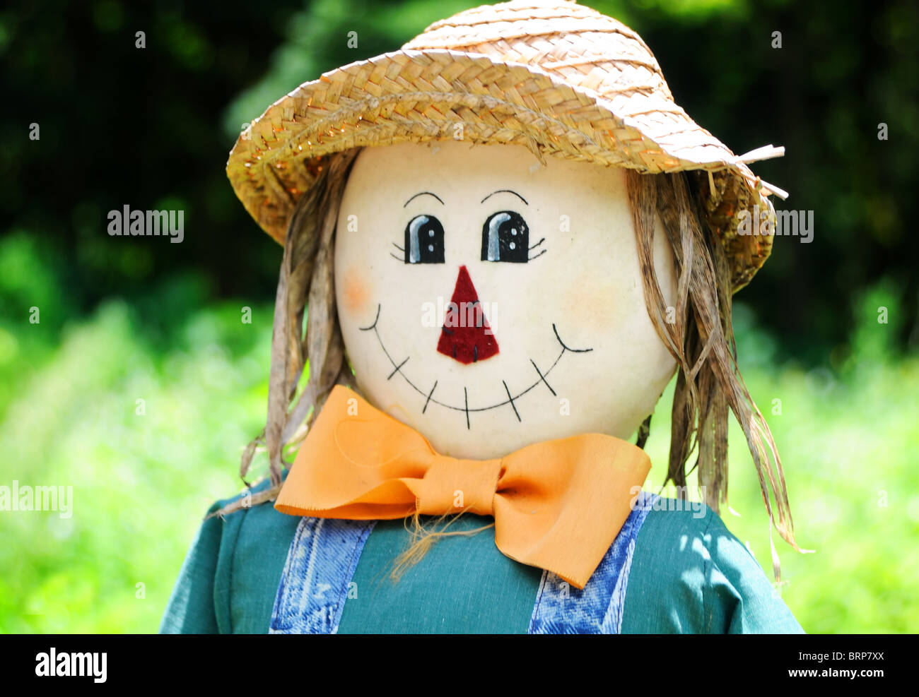 A close-up of a smiling fall scarecrow face Stock Photo - Alamy