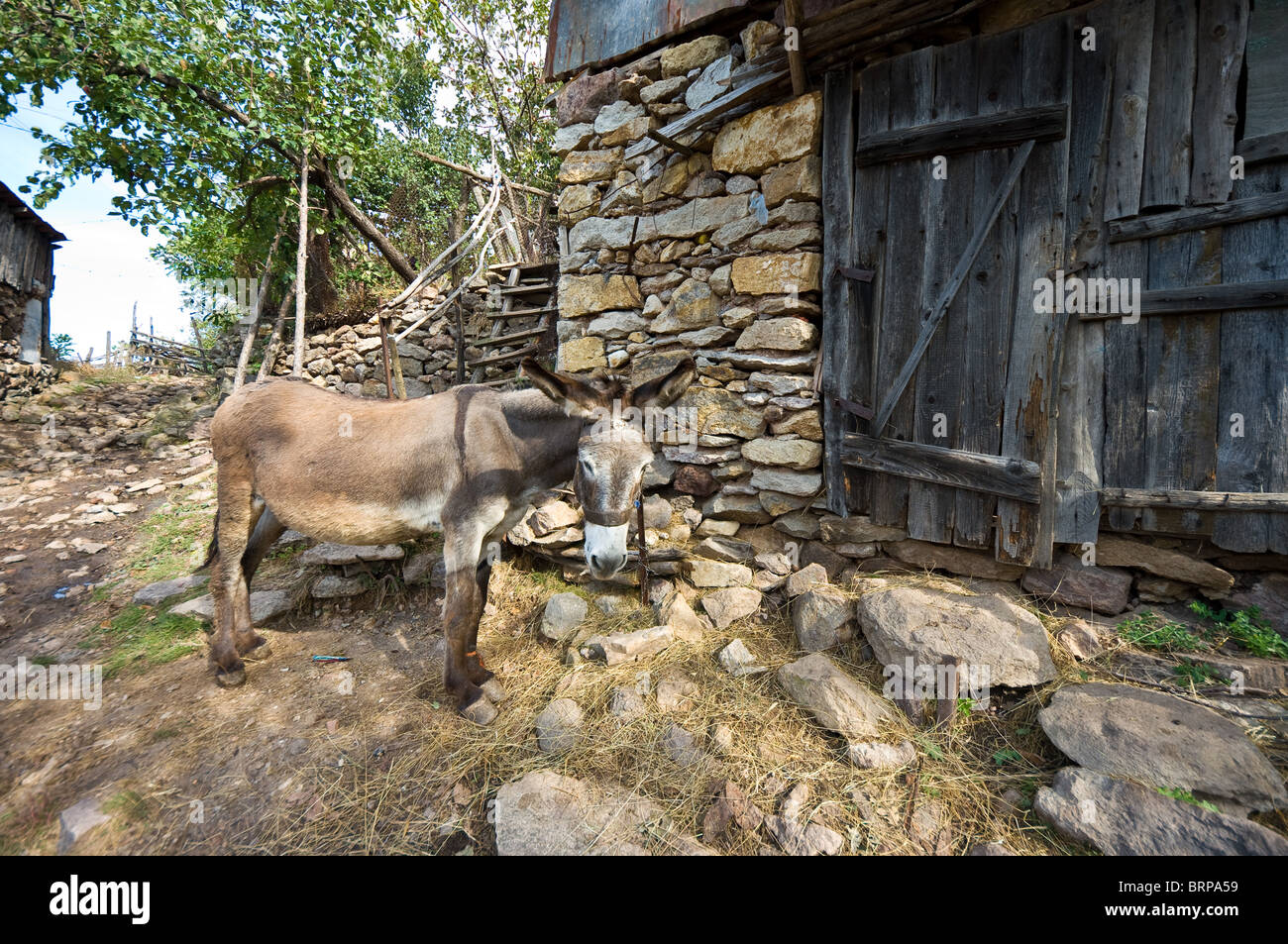 Bulgarian village Kushla Rhodope Mountains Stock Photo - Alamy