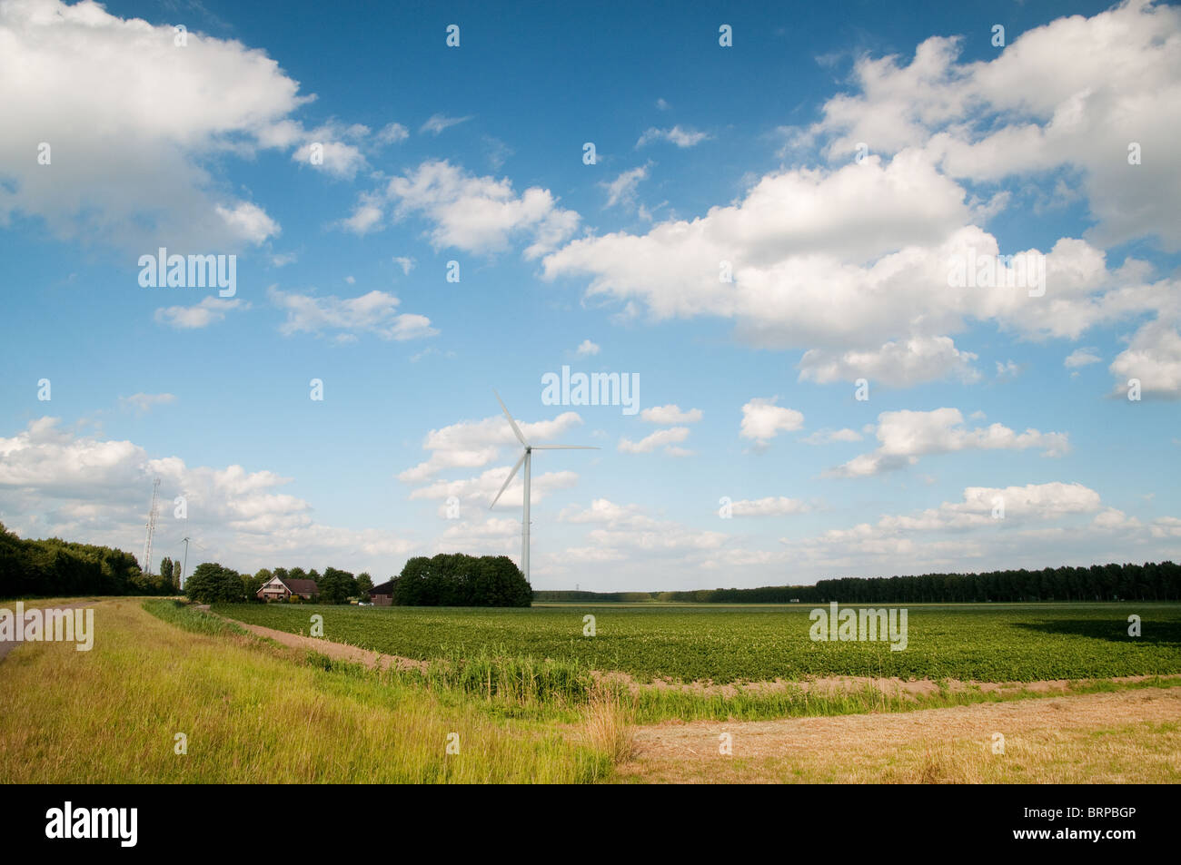 Dutch landscape Flevoland polder Stock Photo - Alamy