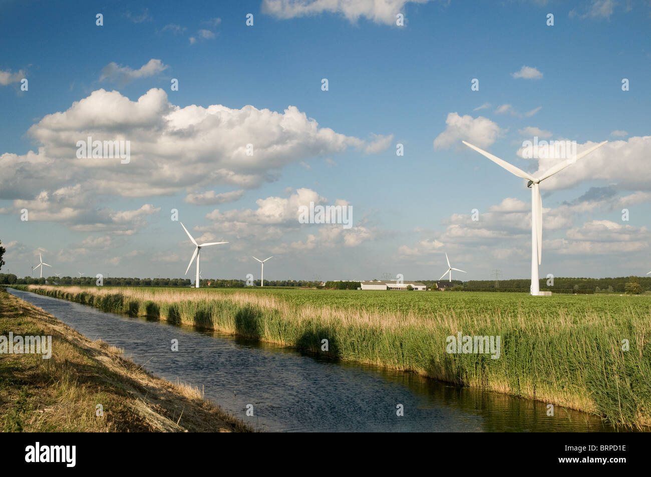 windmills in agriculture landscape Stock Photo - Alamy