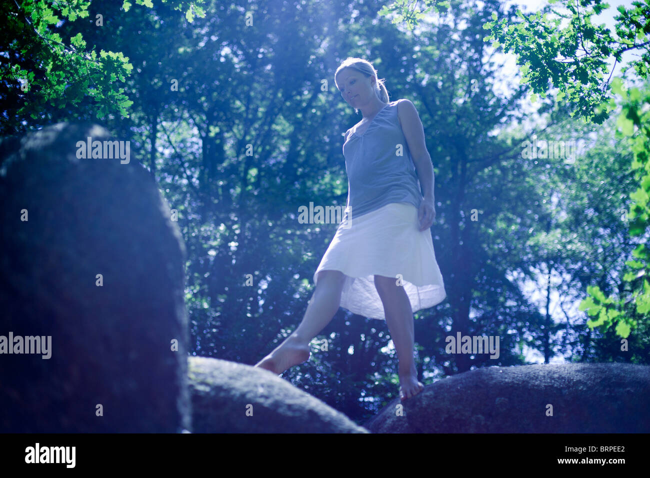 Roc image hi-res stock photography and images - Alamy