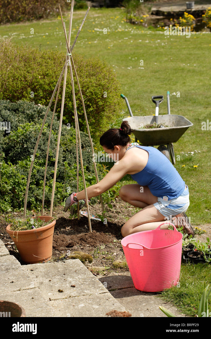 Happy pea hi-res stock photography and images - Alamy