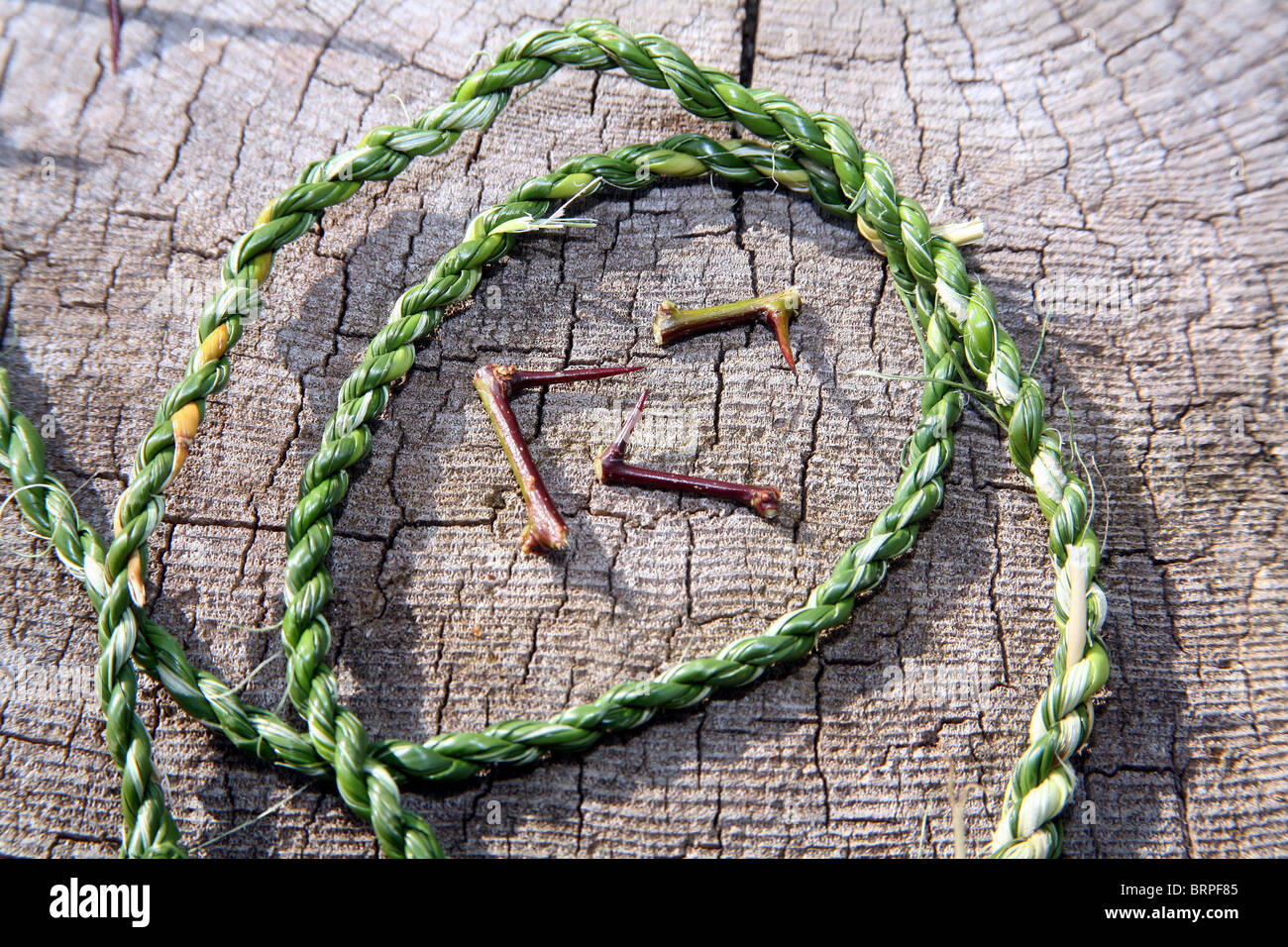 hand plaited braided reeds and hawthorn thorns to make improvised ...