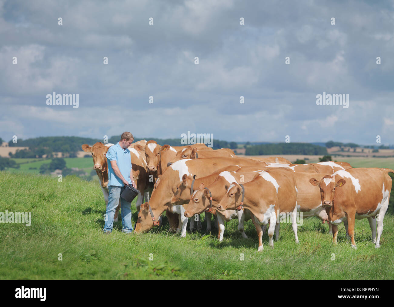 Farmer Feeding Animal High Resolution Stock Photography and Images - Alamy