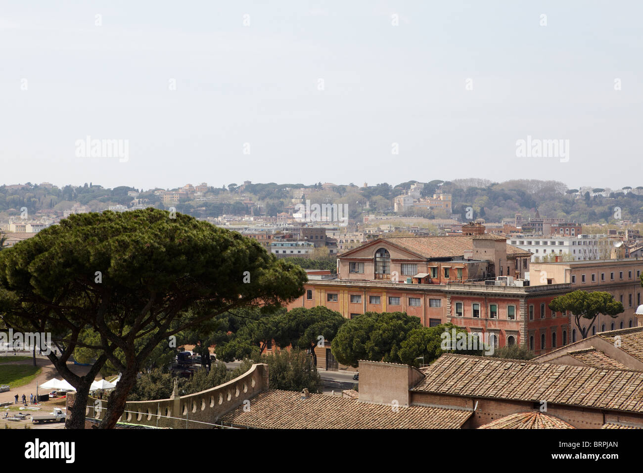 Collis palatinus hi-res stock photography and images - Alamy