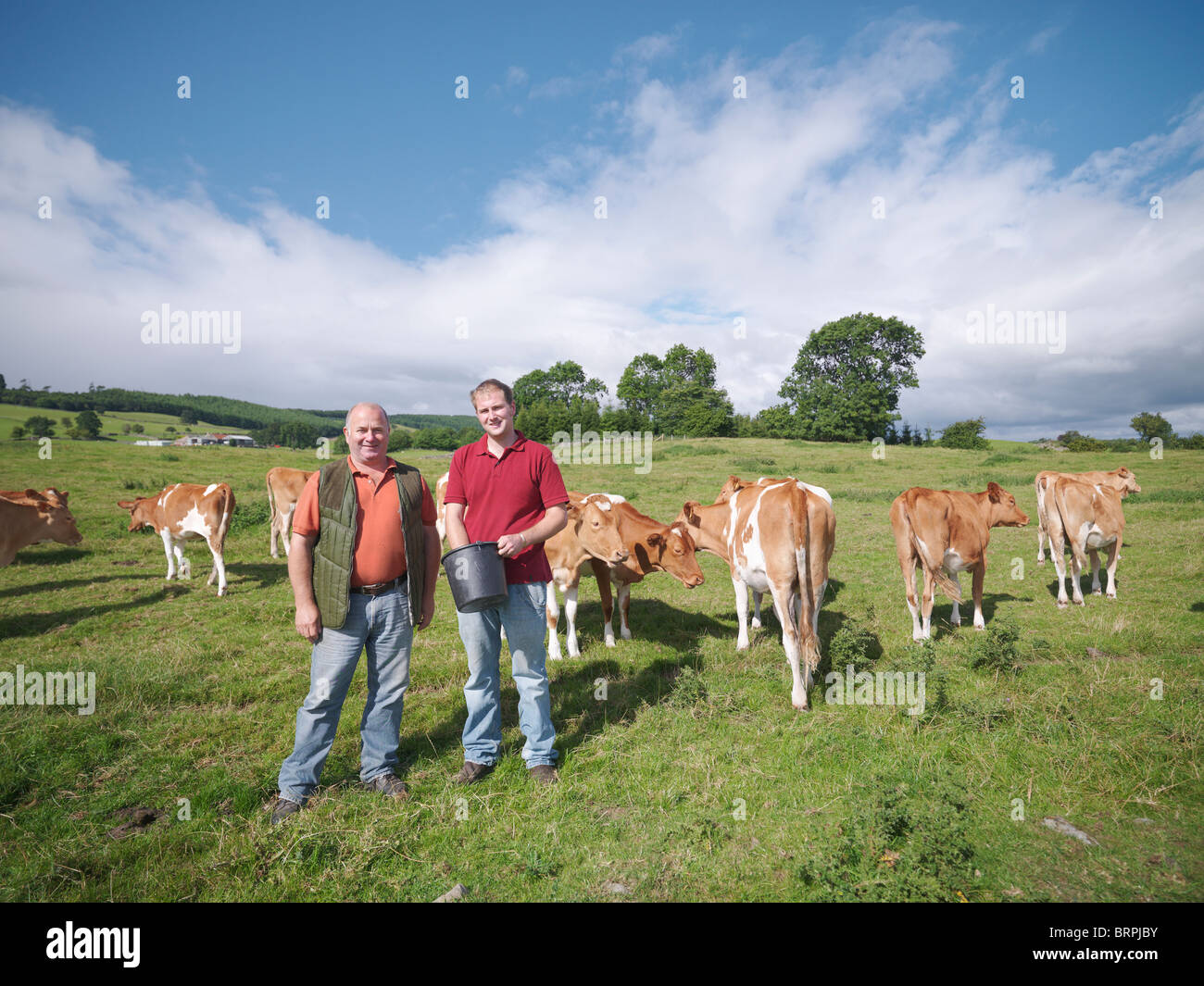 Farmer And Calf High Resolution Stock Photography and Images - Alamy