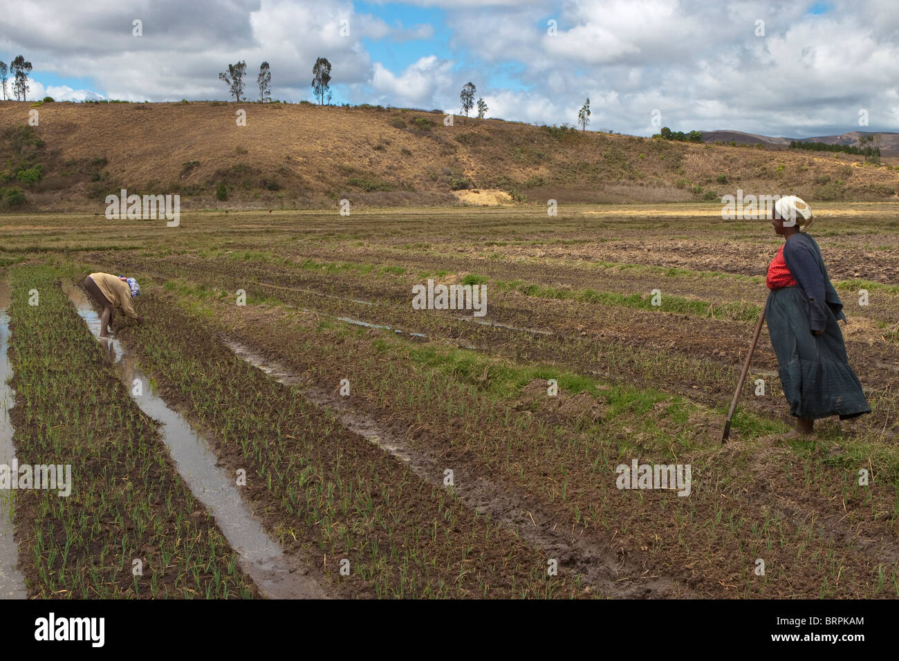 Madagascar women hi-res stock photography and images - Alamy