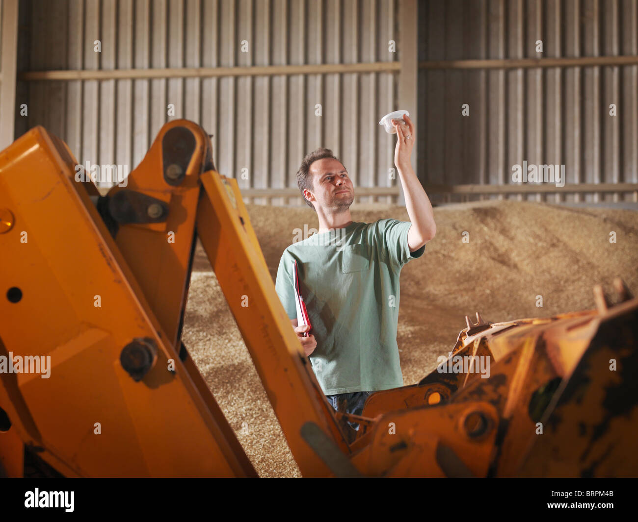 Raised grain hi-res stock photography and images - Alamy