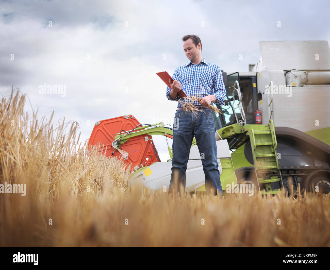 Farmer cutting crop hi-res stock photography and images - Alamy