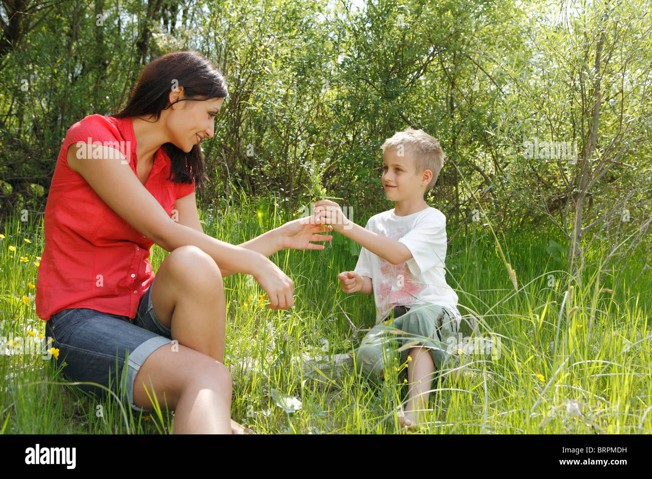 Free Time in the Nature Stock Photo - Alamy