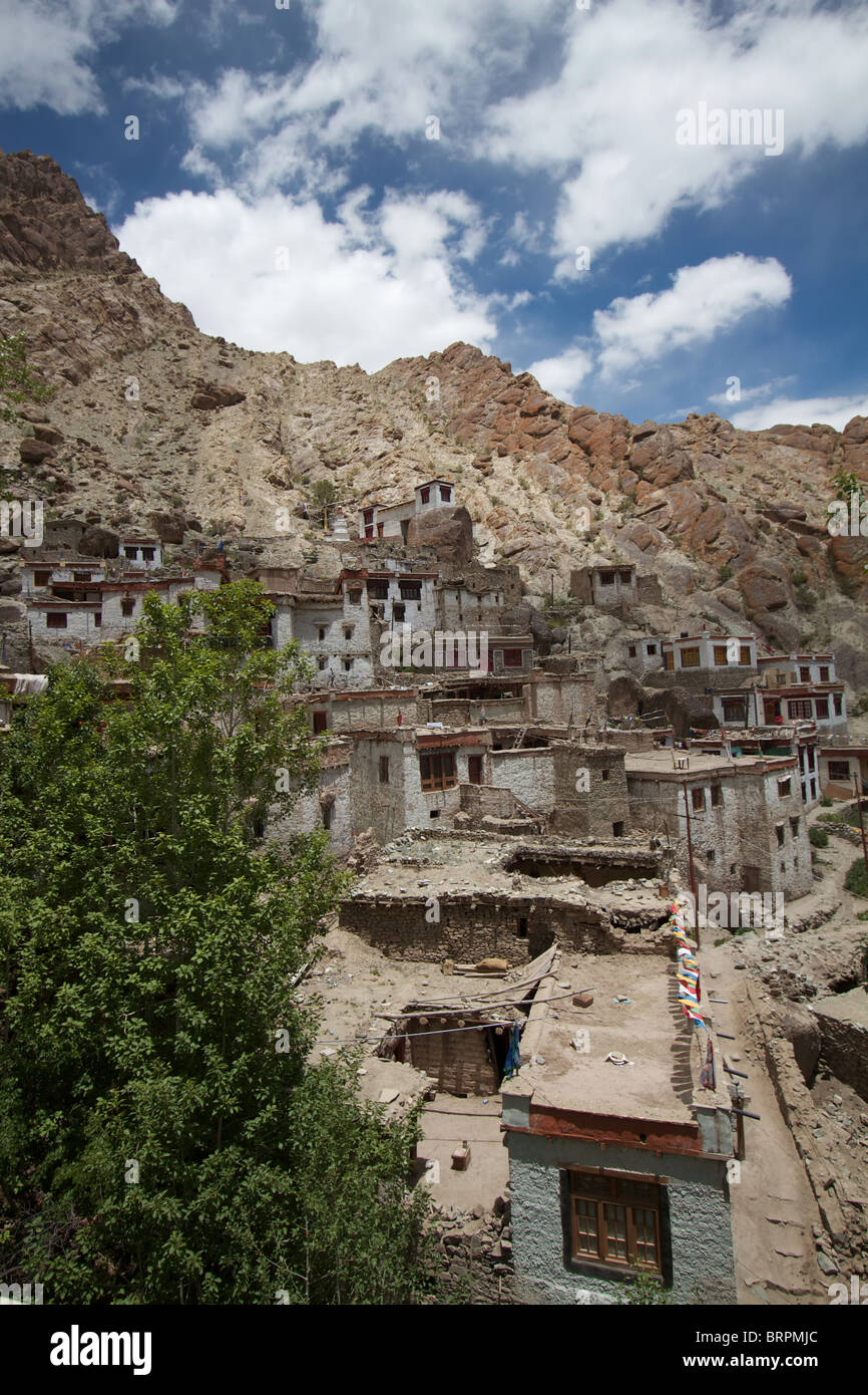 houses around hemis gompa Stock Photo - Alamy