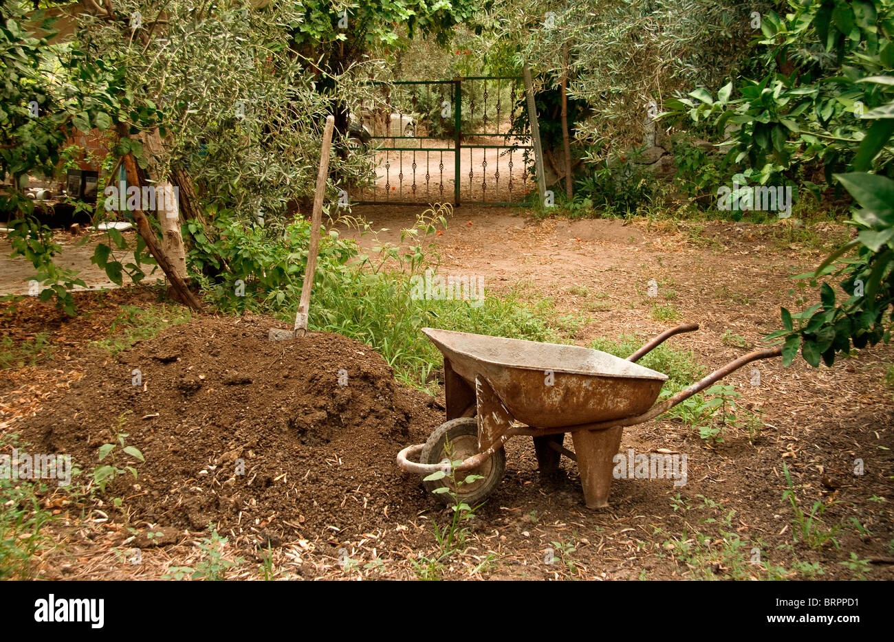 A wagon/wheelbarrow next to manure hill and spade, under olive trees ...
