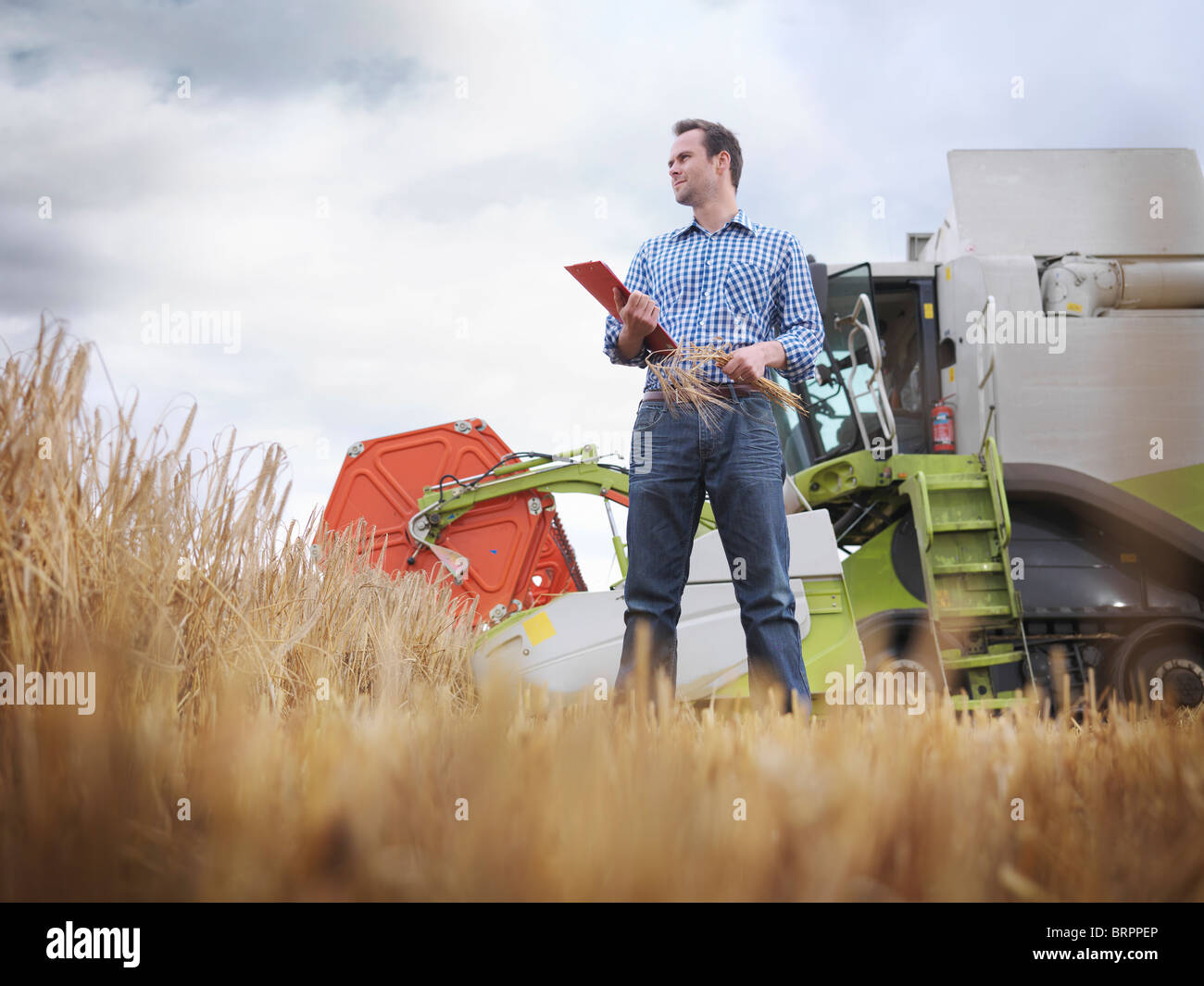 Farmer cutting crop hi-res stock photography and images - Alamy
